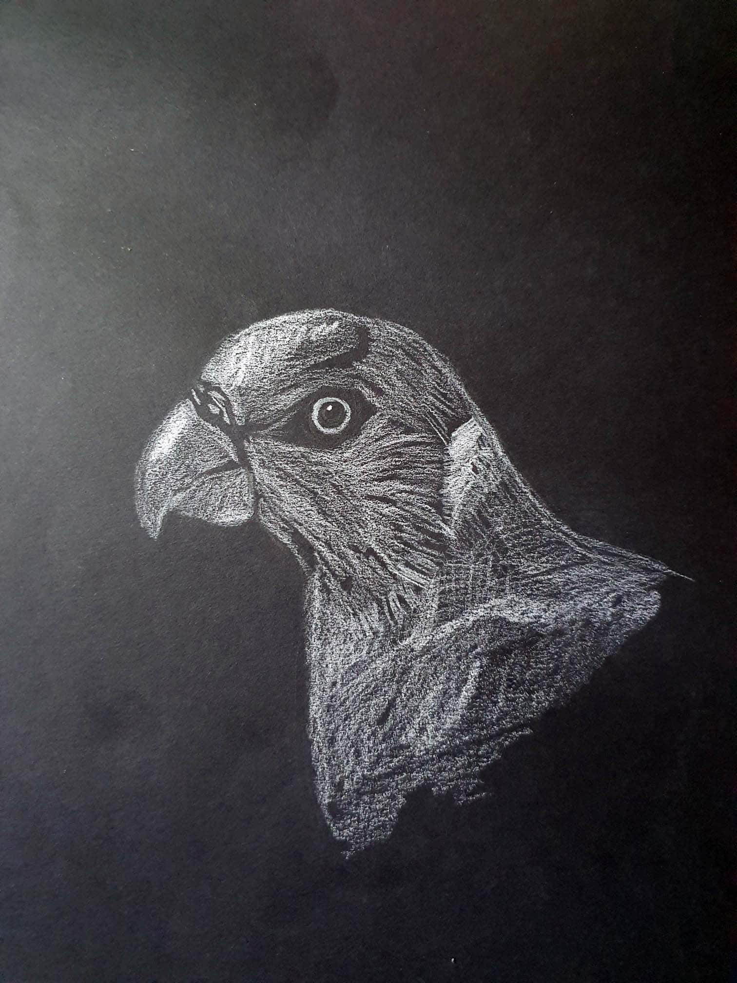 The Ultimate Beginners Guide for Drawing on Black Paper with Colored ...