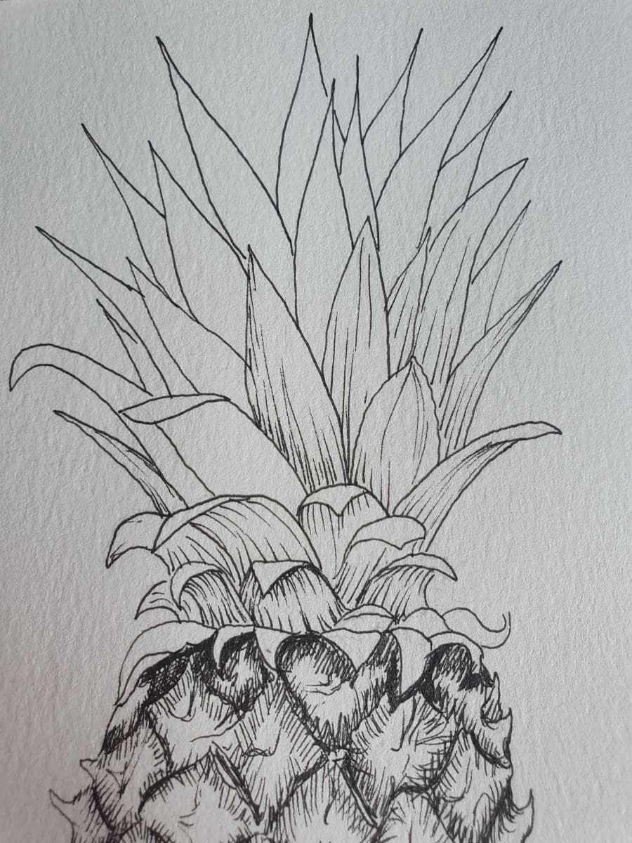 How to Draw a Pineapple in 16 Simple Steps - Artsydee - Drawing ...
