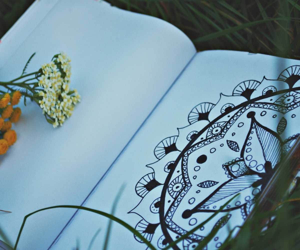 How to Start a Daily Sketchbook | 17 Top Tips to Get You Inspired ...