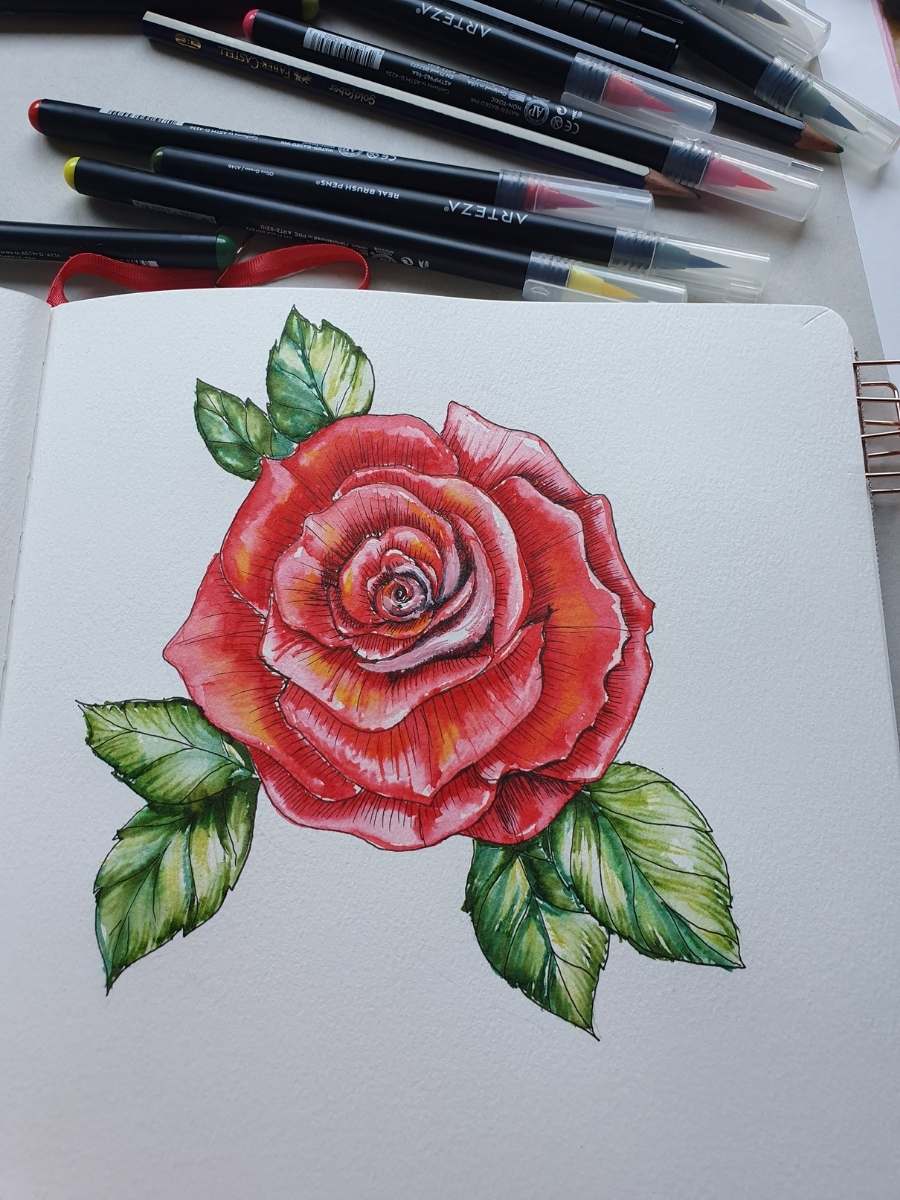 Exquisite Rose Drawing | 3 Easy Step-by-Step Tutorials - Artsydee ...