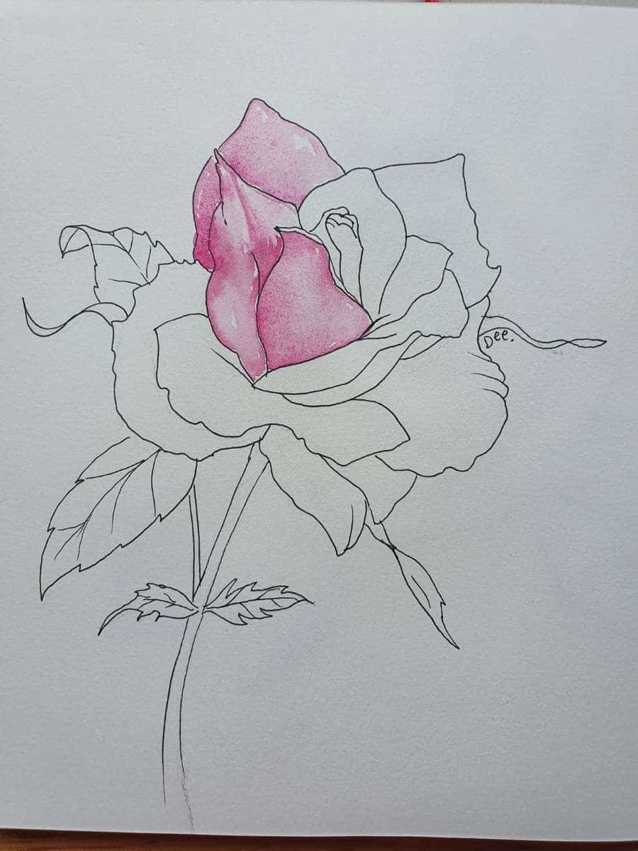 Exquisite Rose Drawing | 3 Easy Step-by-Step Tutorials – Artsydee ...