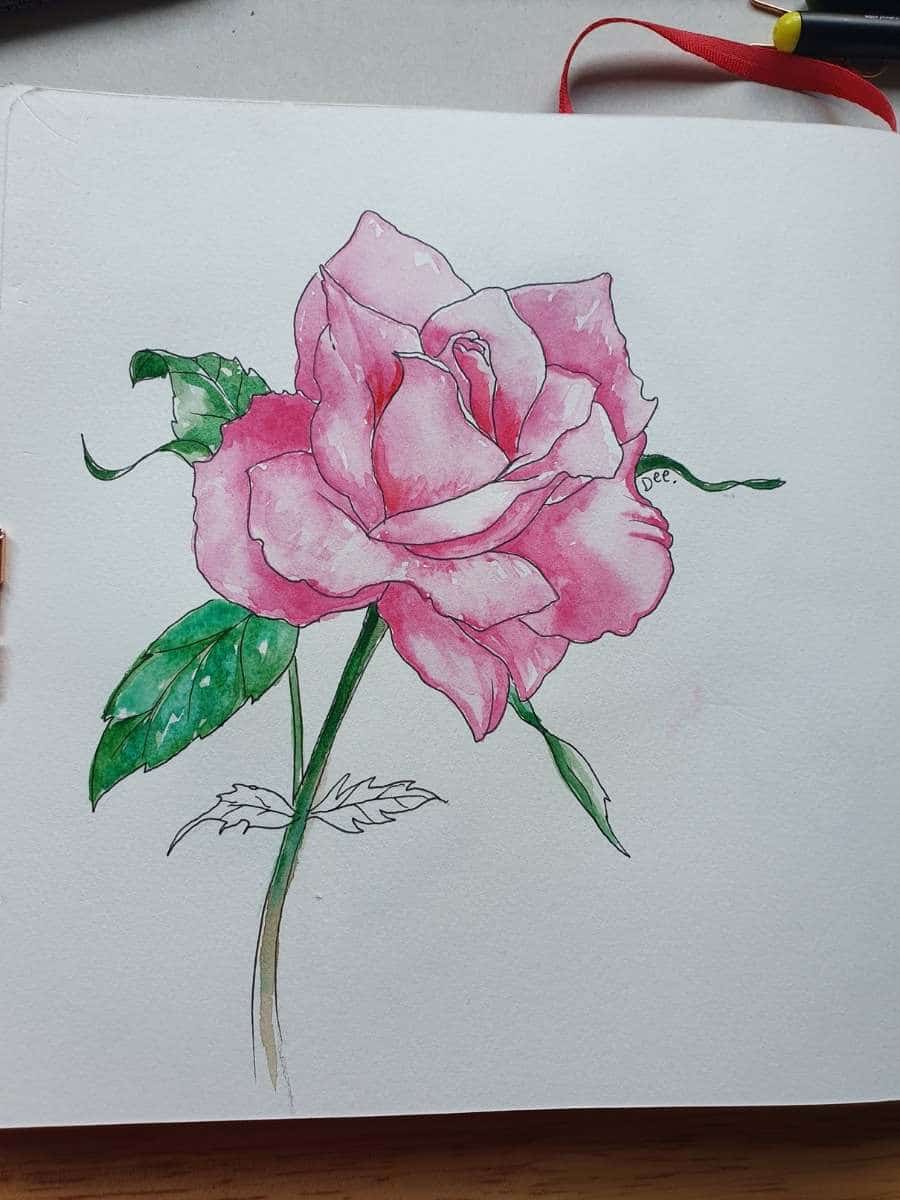 Exquisite Rose Drawing | 3 Easy Step-by-Step Tutorials – Artsydee ...
