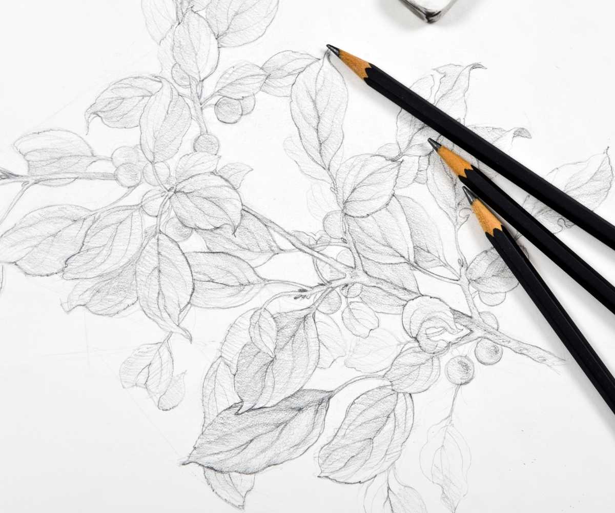 How to Start a Daily Sketchbook | 17 Top Tips to Get You Inspired ...