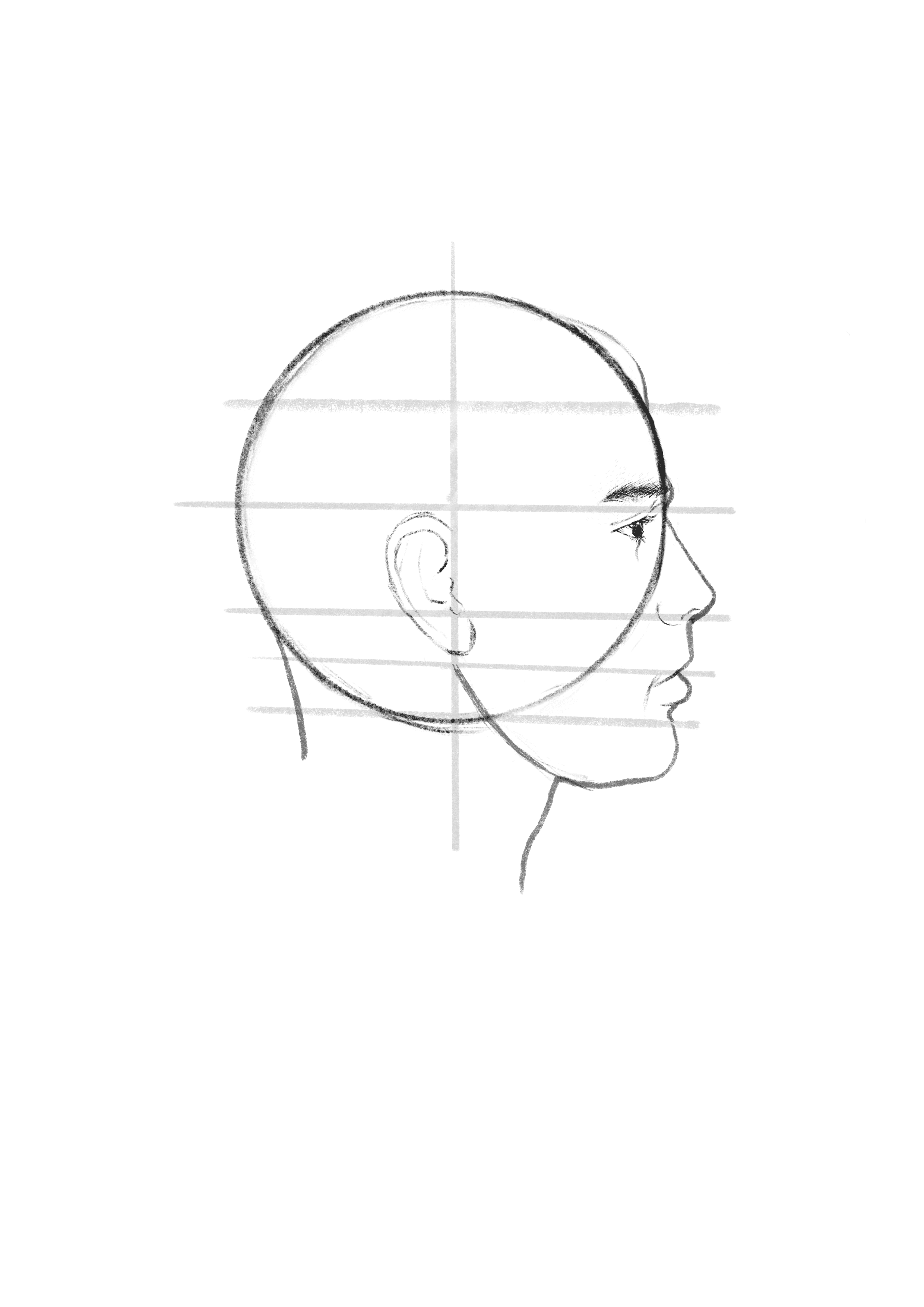 12 Easy Steps to an Accurate Side Profile Drawing - Artsydee | Drawing ...