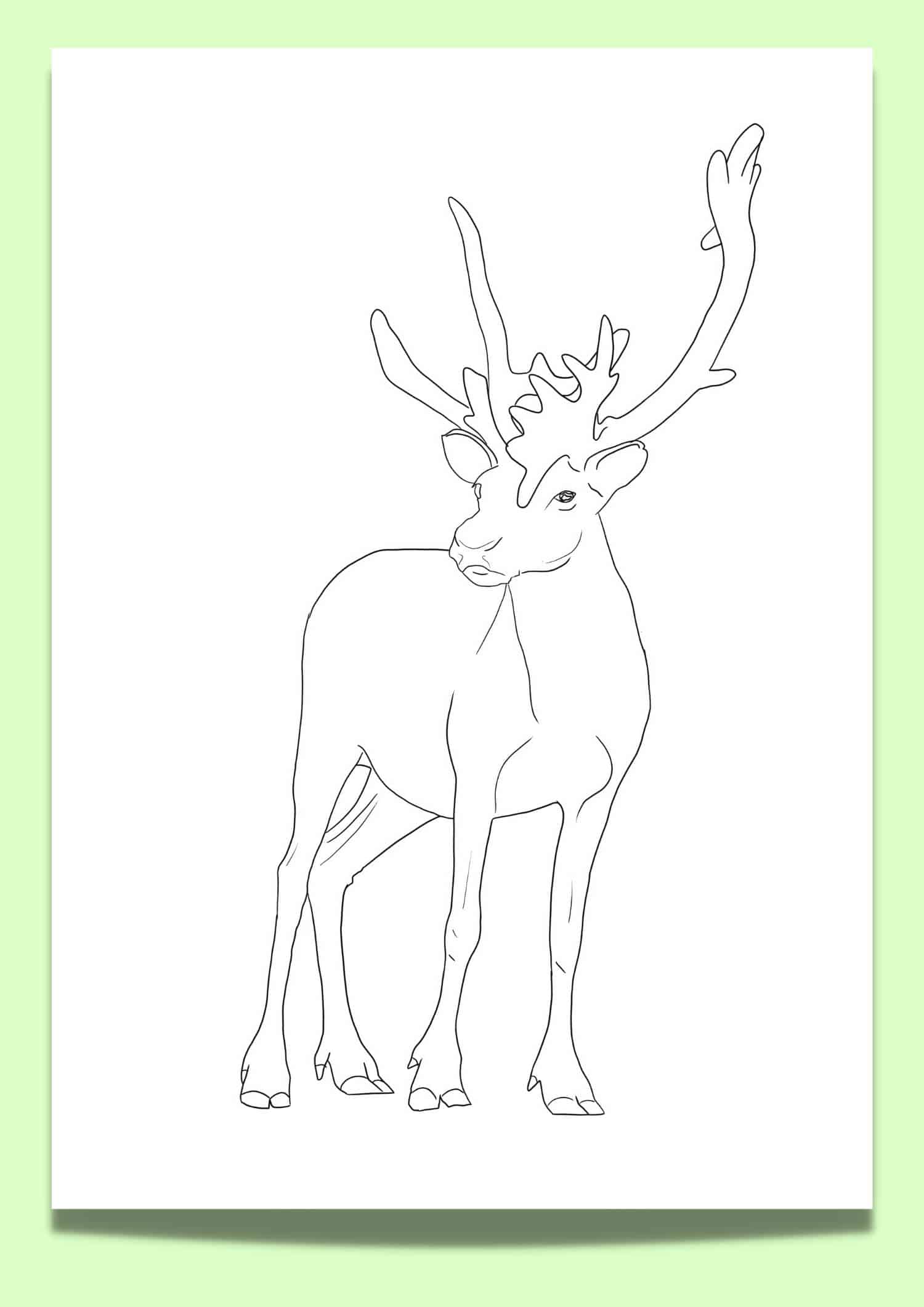 Looking for a Reindeer Template? 5 FREE Reindeer Printables! - Artsydee ...