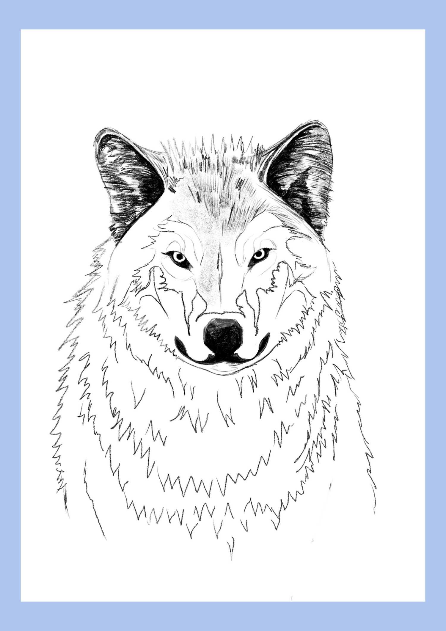 Wolf Drawing Easy Wolf Drawing Easy Face - Clark Rievered