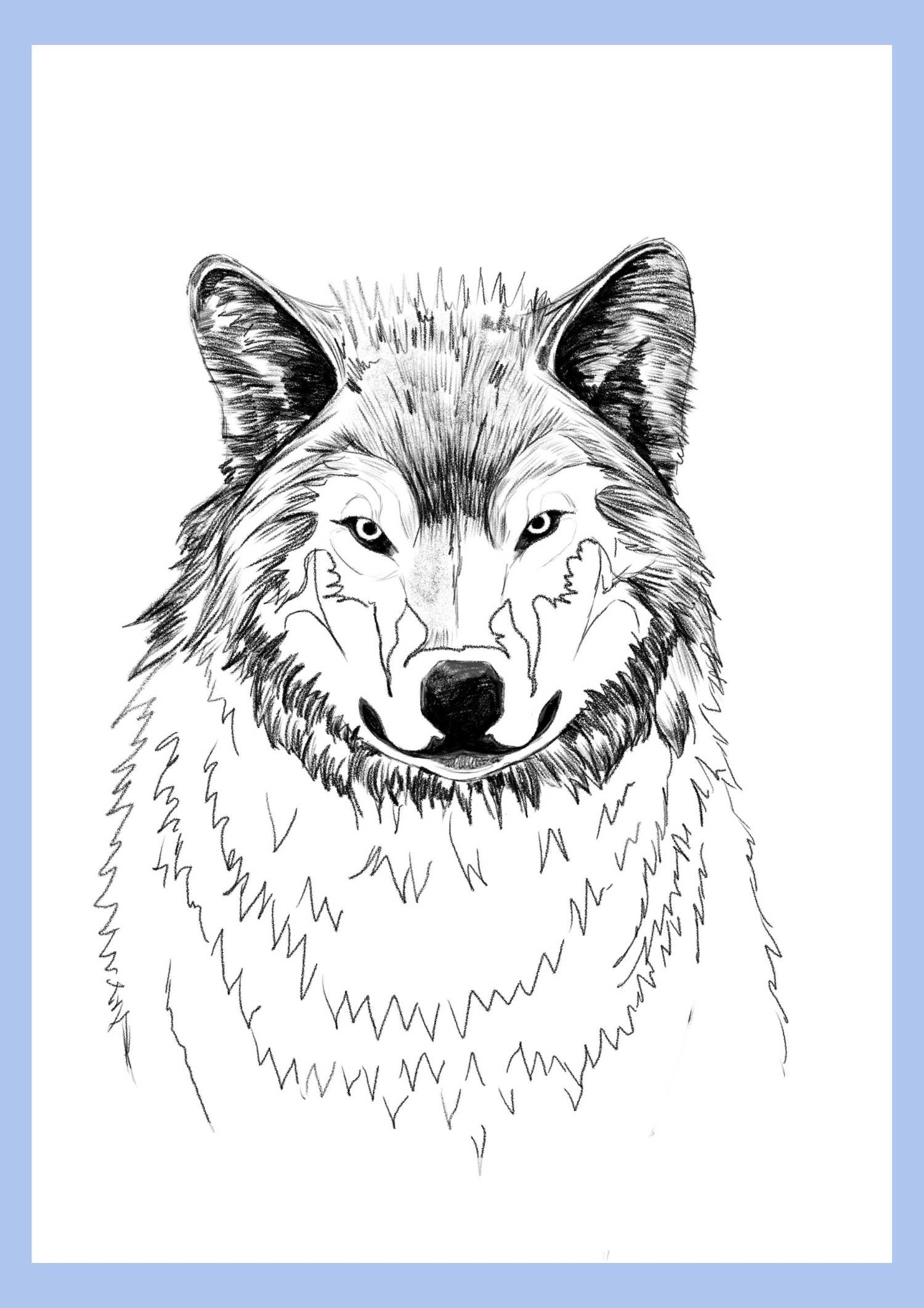 Wolf Drawing Easy Wolf Drawing Easy Face - Clark Rievered