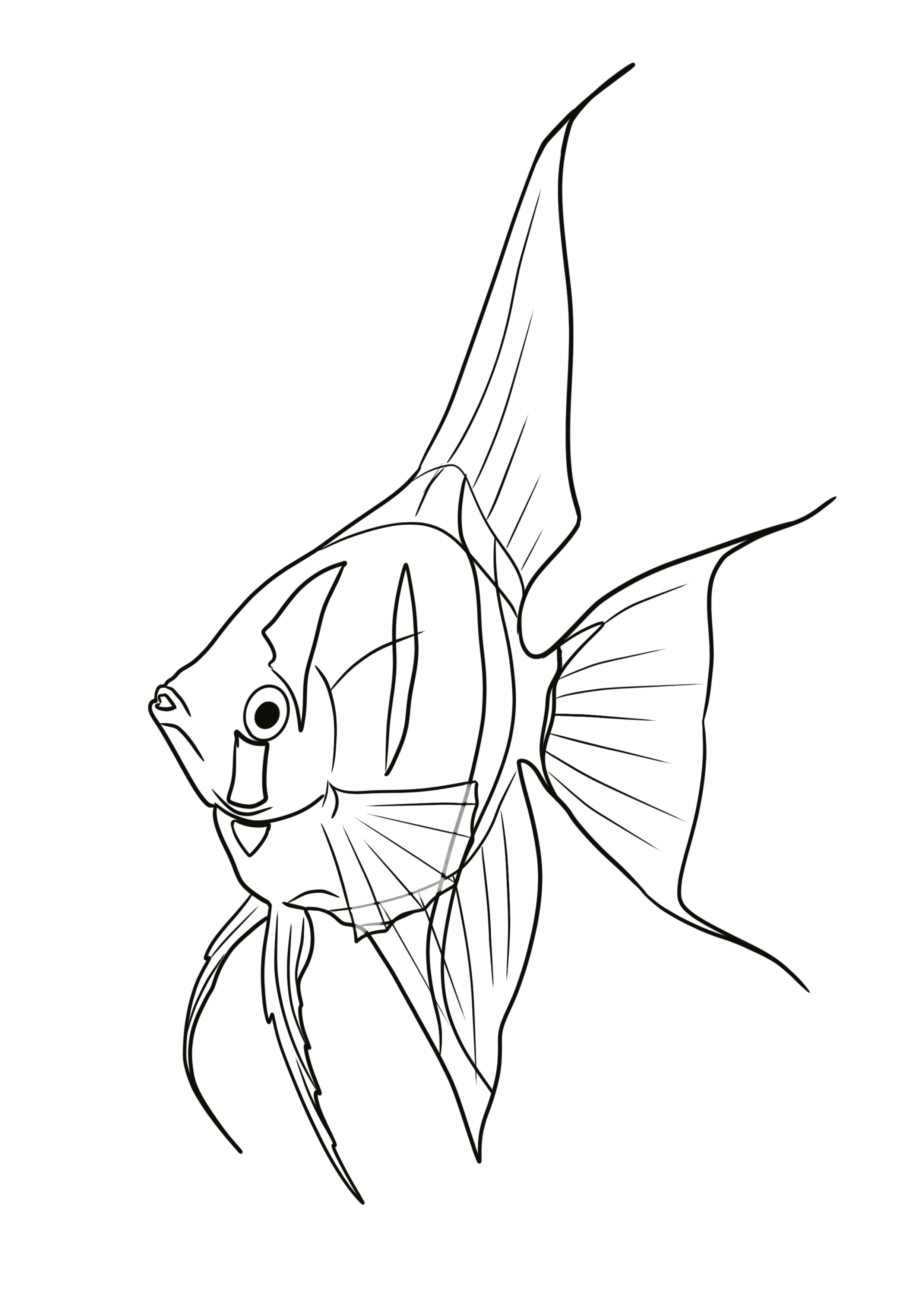 8 FREE Angelfish Template Printables - Artsydee | Drawing, Painting ...